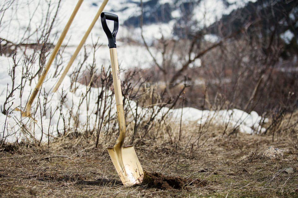 Astoria Park land gifted to Astoria Park Conservancy - Astoria Hot ...