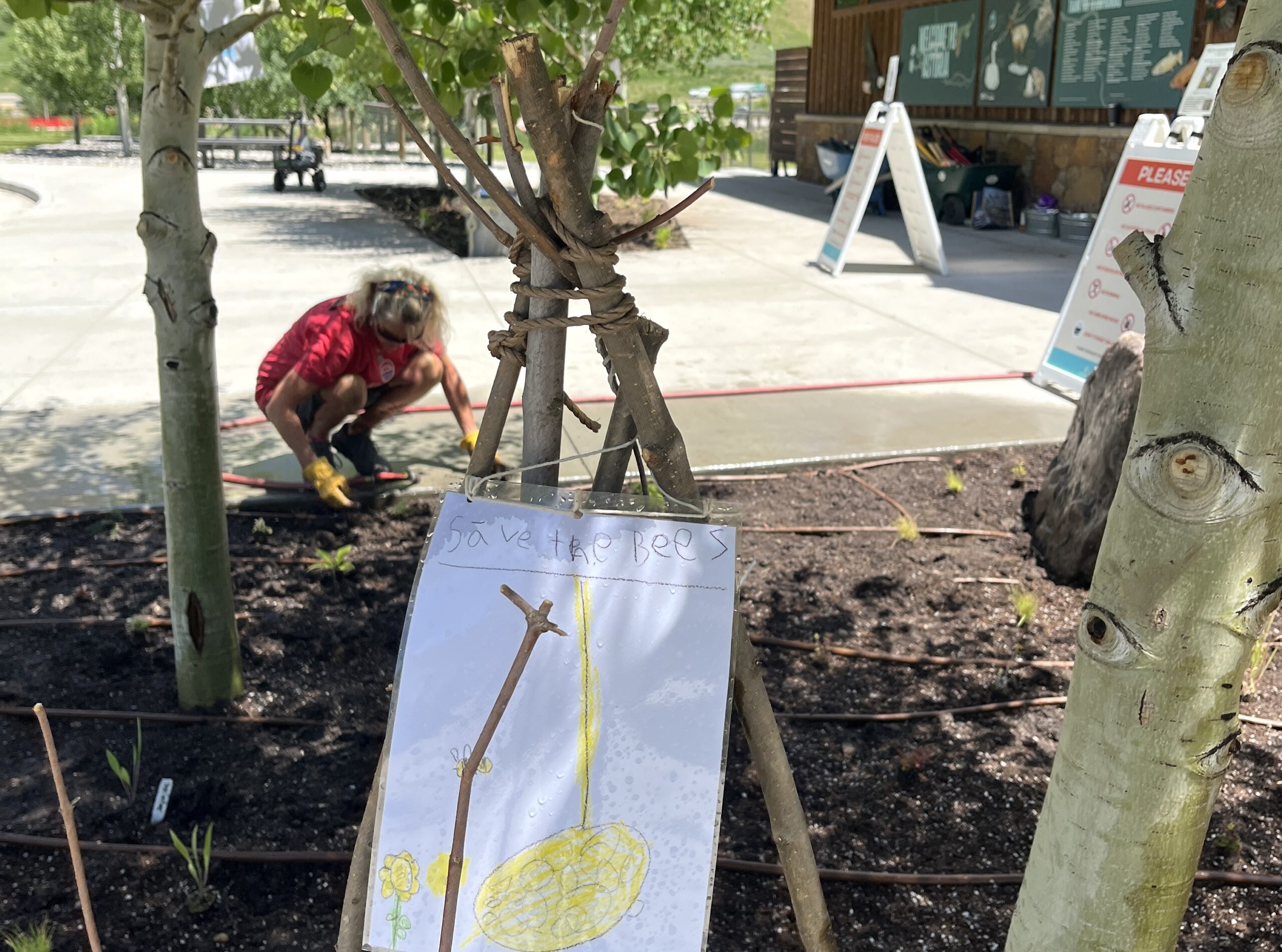 Astoria's Native Plant Garden Progresses with Partners - Astoria Hot ...